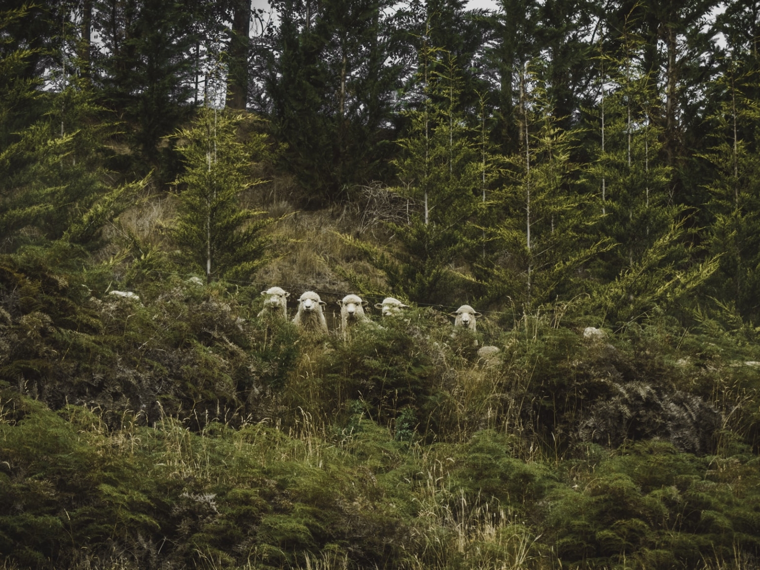 Concurrency In Python Data Pipelines Async Threads Processes Oh My Confessions Of A